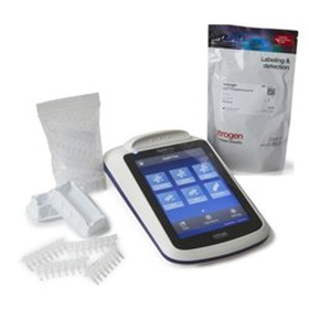 Invitrogen PureLink RNA Mini Kit | サーモフィッシャーサイエンティフィック株式会社／Thermo ...