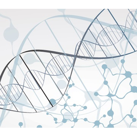 高純度シリカゲル使用HPLCカラム『Mightysilシリーズ』 | 関東化学株式会社 - Powered by イプロスものづくり