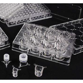 高純度シリカゲル使用HPLCカラム『Mightysilシリーズ』 | 関東化学株式会社 - Powered by イプロスものづくり