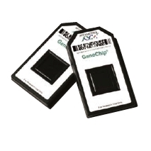 GeneChip Transcriptome Array2.0 | イプロスものづくり