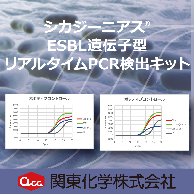 シカジーニアス ESBL遺伝子型リアルタイムPCR検出キット | 関東化学株式会社 - Powered by イプロスものづくり