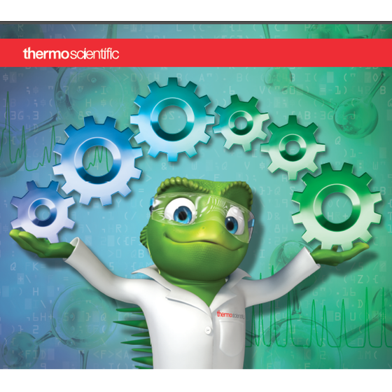 [E-learning Information] Introduction to GC-MS systems used for the ...