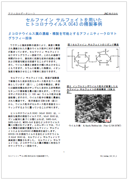 セルファイン サルフェイト ヒトコロナウイルスOC43精製事例 JNC | イプロスものづくり
