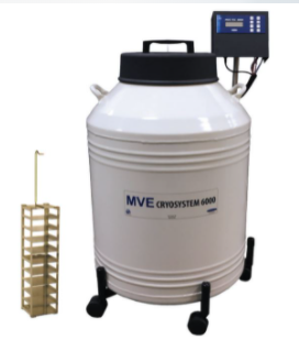 MVE Cryosystem 6000 Full Auto | 巴商会 - Powered by イプロス