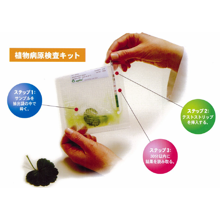 Plant Pathogen Testing Kit Agdia Immunostrip Virus and others アヅマックス ...