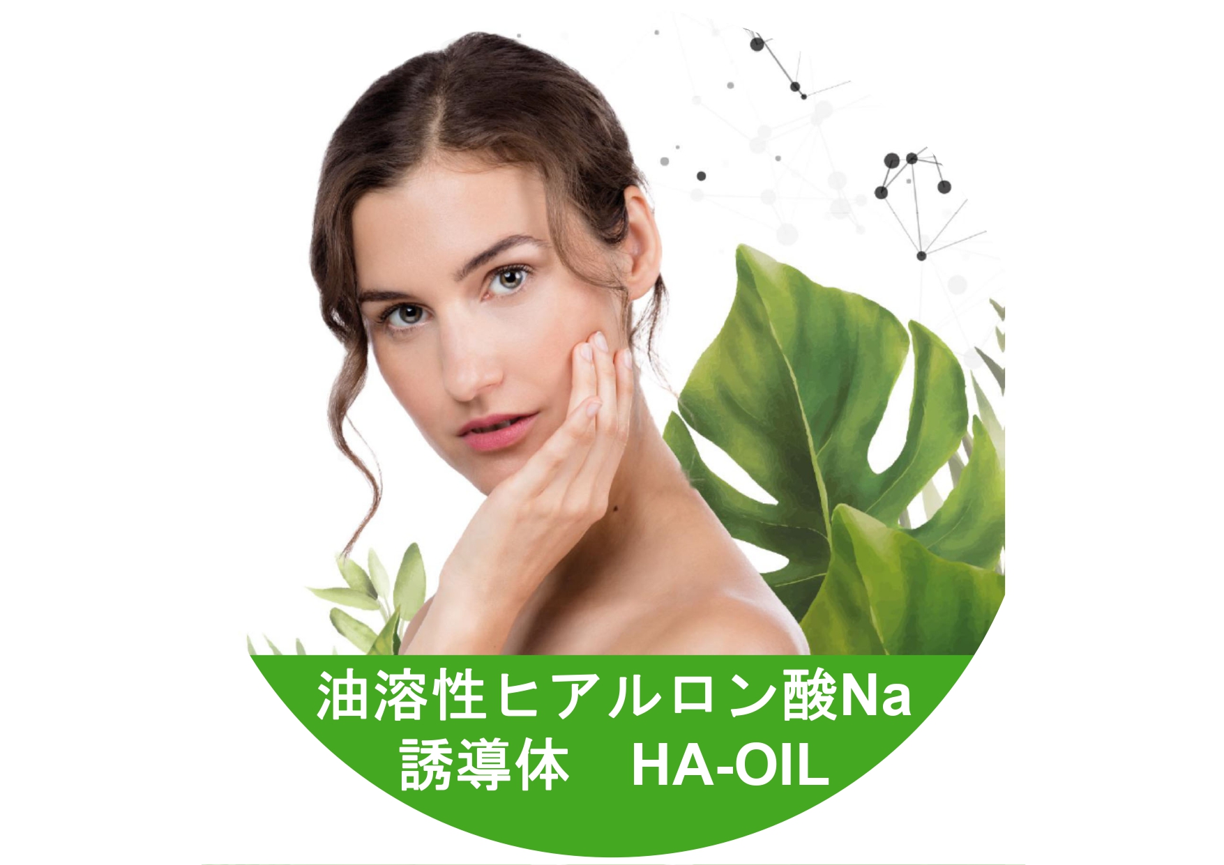 化粧品原料 油溶性ヒアルロン酸Na誘導体 HA-OIL | 樋口商会 - Powered by イプロスものづくり