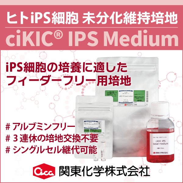 iPS細胞用未分化維持培地『ciKIC iPS medium』 | イプロスものづくり