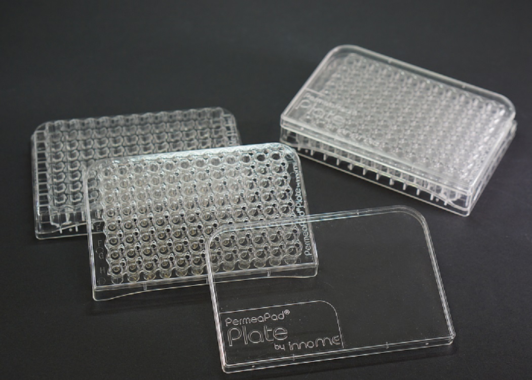 Permeapad Plate 薬物膜透過速度試験 | 樋口商会 - Powered by イプロスものづくり