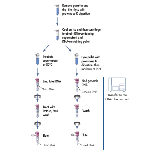 核酸精製試薬『AllPrep DNA/RNA FFPE Kit』 キアゲン | イプロスものづくり