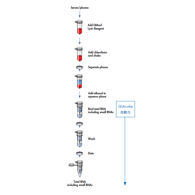 miRNeasy Serum/Plasma Kit キアゲン | イプロスものづくり