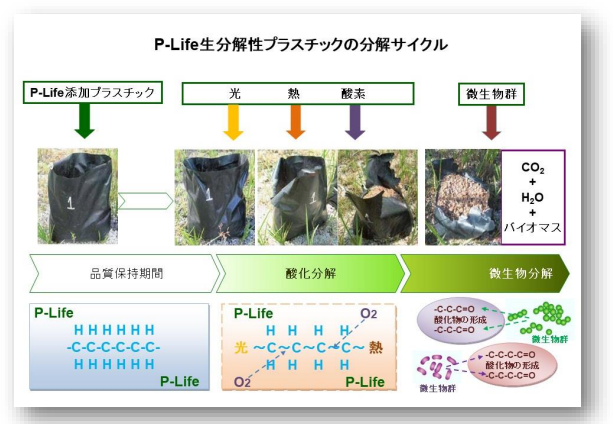 微生物分解プラスチック添加剤『P-Life』の分解機構について | イプロスものづくり
