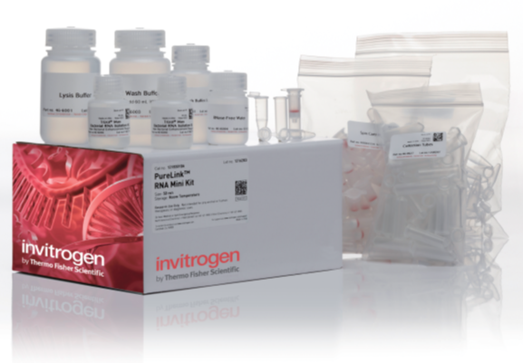 Invitrogen PureLink RNA Mini Kit | サーモフィッシャーサイエンティフィック株式会社／Thermo ...